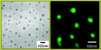 A novel synthesis of nanocapsules using identical polymer core/shell ...