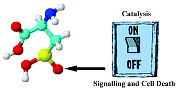 The sulfinic acid switch in proteins - Organic & Biomolecular Chemistry ...