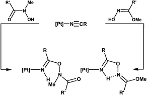 The metalla-Pinner reaction between Pt(iv)-bound nitriles and alkylated ...