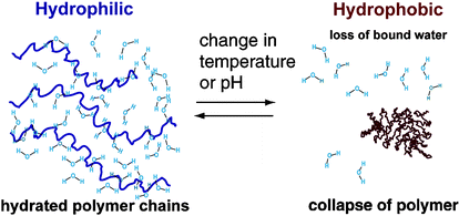 Stimuli responsive polymers for biomedical applications - Chemical ...