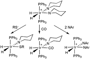 Synthesis and reactivity of iridium complexes with pyridine and ...