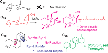 Enzymatic cyclization reactions of geraniol, farnesol and ...