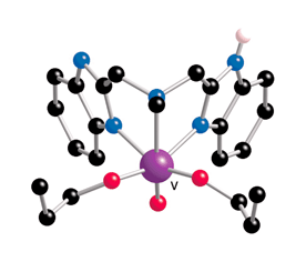Bis(benzimidazole)amine vanadium catalysts for olefin polymerisation ...