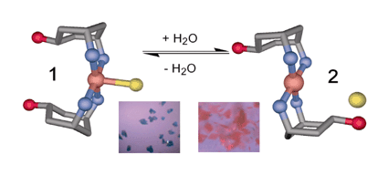 Secondary coordination sphere controlled reversible geometry ...