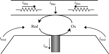 Theory of scanning electrochemical microscopy (SECM) as a probe of ...