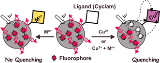 Metal-chelating nanoparticles as selective fluorescent sensor for Cu2 ...