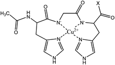 Copper(ii) complexes of N-terminal protected tri- and tetra-peptides ...