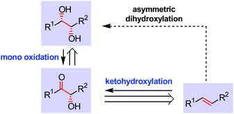 The RuO4-catalysed dihydroxylation, ketohydroxylation and mono ...