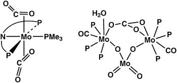 Novel carbon dioxide and carbonyl carbonate complexes of molybdenum ...