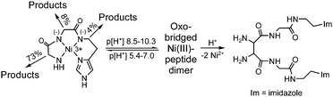 Nickel(iii) oxidation of its glycylglycylhistamine complex - Dalton ...