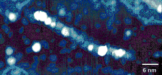 Synthesis of long Poly(dG)·Poly(dC) DNA using enzymatic reaction ...