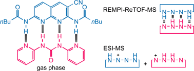 Multiple hydrogen bonds. Mass spectra of hydrogen bonded heterodimers ...