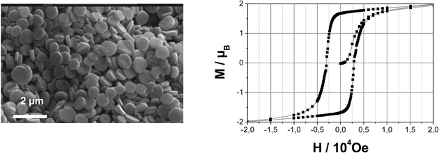 Synthesis, characterization and magnetic properties of disk-shaped ...