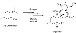 Total synthesis of the Fusarium toxin equisetin - Organic ...