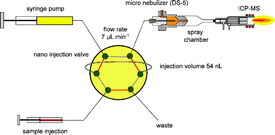 Ultratrace determination of uranium and plutonium by nano-volume flow ...