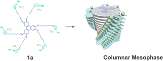 Discotic liquid crystals stabilized by interionic interactions ...
