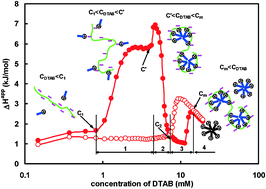 Insights on polymer surfactant complex structures during the binding of ...