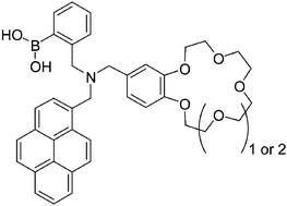 A ditopic fluorescent sensor for potassium fluoride - Chemical ...