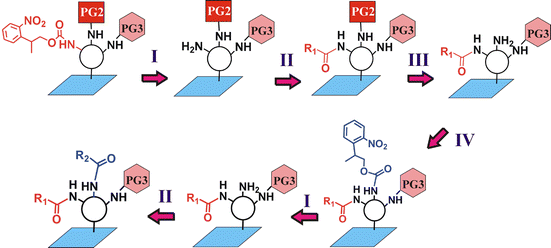 Photolithographic synthesis of cyclic peptide arrays using a ...
