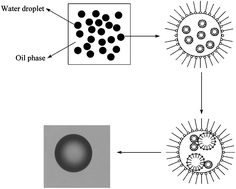 Synthesis and catalytic activity of stable hollow ZrO2–SiO2 spheres ...