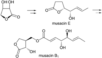 Synthesis and stereochemistry of musacins isolated from Streptomyces ...