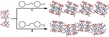 Assembly behavior of inclusion complexes of β-cyclodextrin with 4 ...