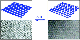 Structural inversion in 3-D hexagonal organization of coil–rod–coil ...