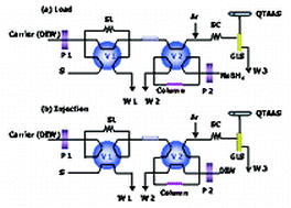 Determination of cadmium by flow injection atomic absorption ...