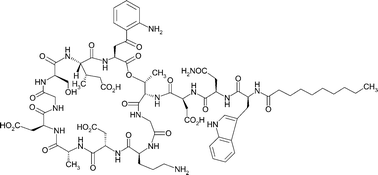 Natural products to drugs: daptomycin and related lipopeptide ...