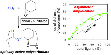 Asymmetric amplification in asymmetric alternating copolymerization of ...
