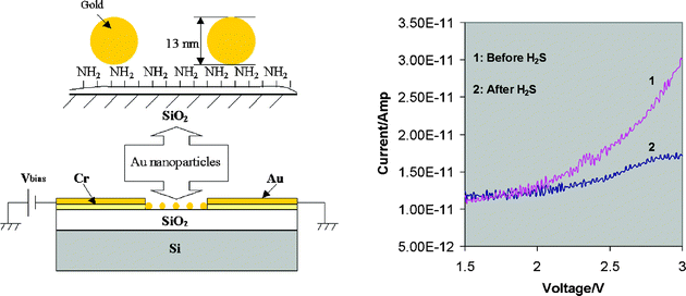 Suppressed electron hopping in a Au nanoparticle/H2S system ...