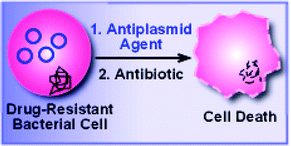 Bacterial death comes full circle: targeting plasmid replication in ...