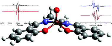 Principles and applications of ENDOR spectroscopy for structure ...