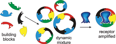 Exploring and exploiting molecular recognition using covalent chemistry ...