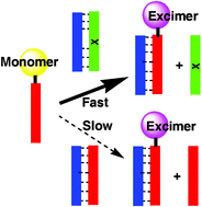 DNA mismatch detection using a pyrene–excimer-forming probe - Chemical ...