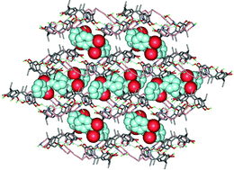 Emission quenching of photoactive molecules embedded in supramolecular ...