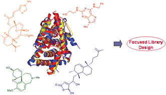 Design of compound libraries based on natural product scaffolds and ...