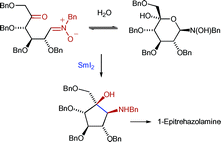 cis-Stereoselective SmI2-promoted reductive coupling of keto-nitrones ...