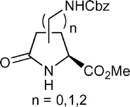 Stereoselective synthesis of conformationally constrained ω-amino acid ...