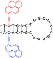 1-Ethynylpyrene-modified guanine and cytosine as optical labels for DNA ...