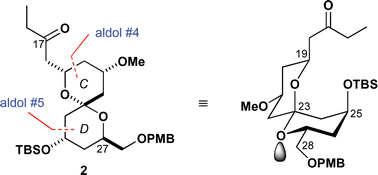 The stereocontrolled total synthesis of altohyrtin A/spongistatin 1 ...