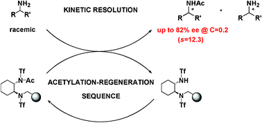 Unprecedented, fully recyclable, solid-supported reagent for the ...