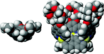 Self-assembly of coordination molecular baskets as inorganic analogues ...