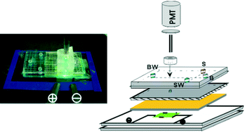 A microfluidic device using a green organic light emitting diode as an ...
