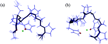 Fine tuning the structure of the Cu2+ complex with the prion protein ...