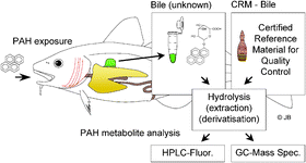 Two fish bile reference materials certified for PAH metabolites ...