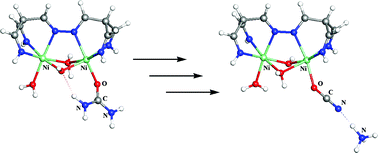 Urea decomposition facilitated by a urease model complex: a theoretical ...
