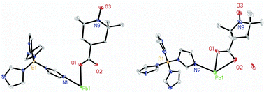 The assembly of organic radical anions between metal-borate scaffolds ...