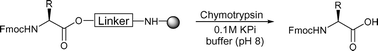 Enzyme-cleavable linkers for peptide and glycopeptide synthesis ...
