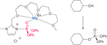Catalytic phosphorylation using a bifunctional imidazole derived ...